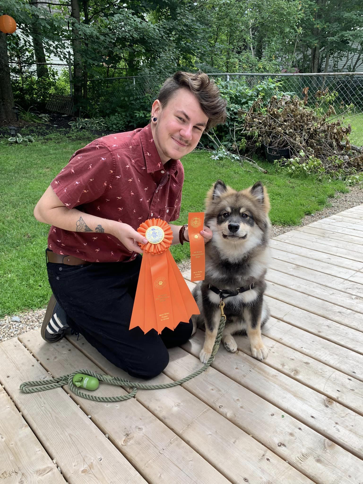 About Us – TimberBay Finnish Lapphunds