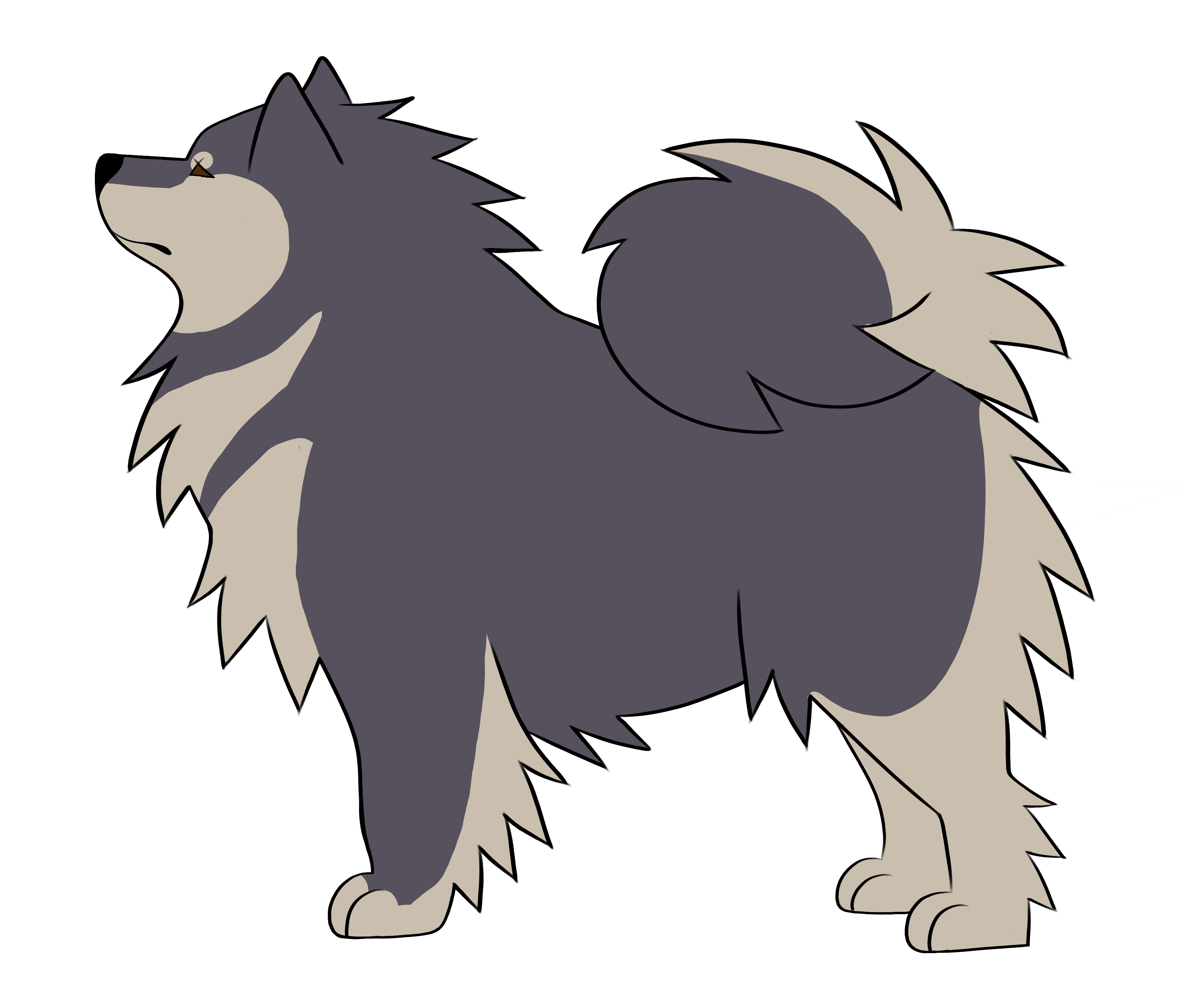 Finnish Lapphund Colours – TimberBay Finnish Lapphunds